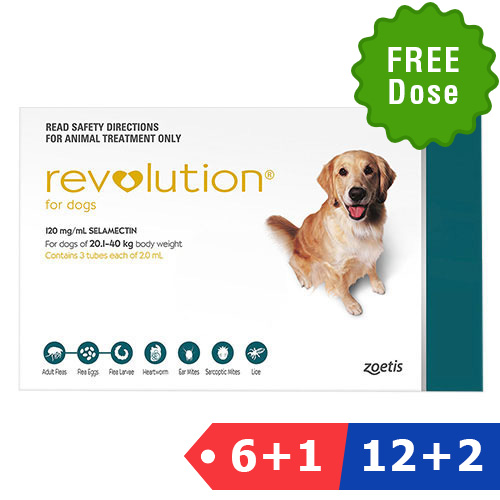 Revolution for Dogs : Buy Revolution Heartworm Preventive for Dogs Online in US - BestVetcare.com