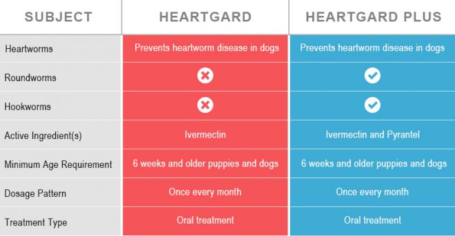 Side Effects of Heartgard Plus to your Pet- JAN. 2020 Updated