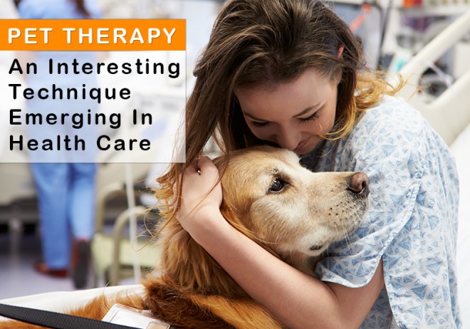 Pet Therapy – An Interesting Technique Emerging In Health Care ...