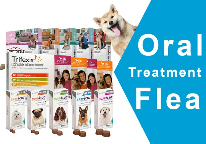 Oral Flea Treatments For Dogs – Merits And Concerns - BestVetCare Blog ...