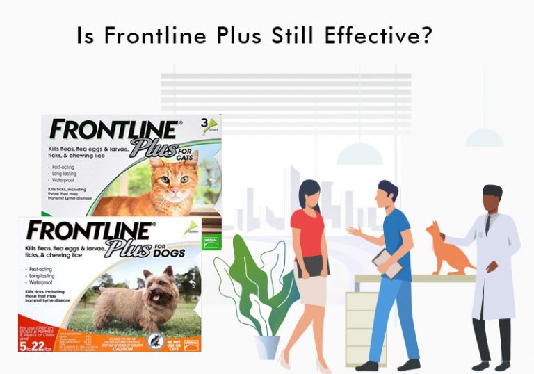 Is Frontline Plus Still Effective in 2020? - BestVetCare
