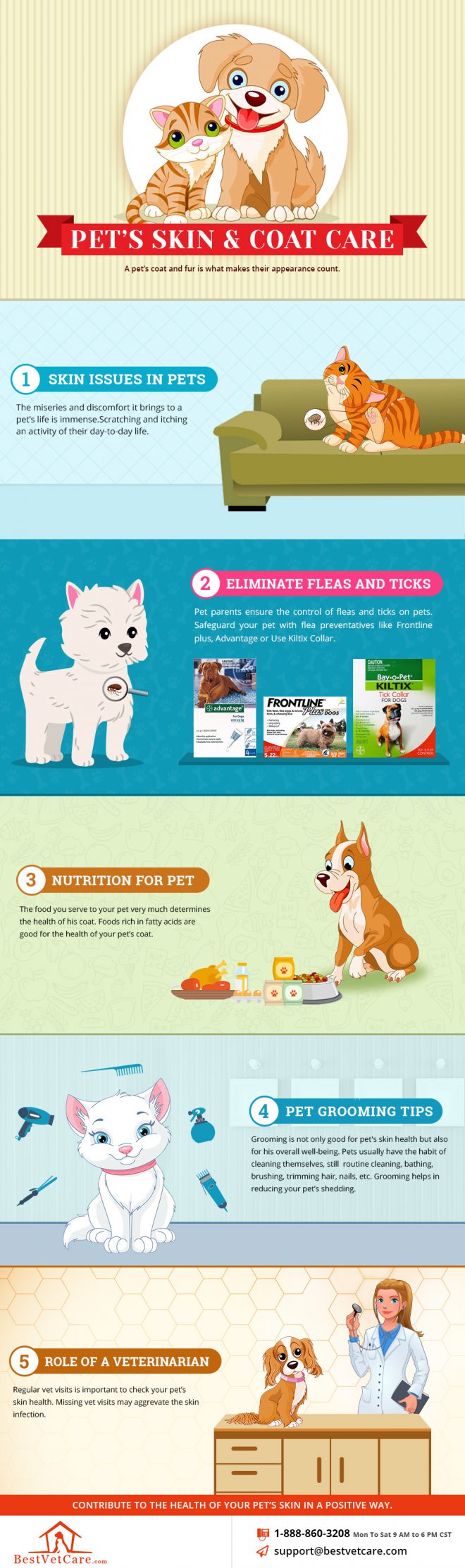 How to take care of pets skin and coat. (Infographic)