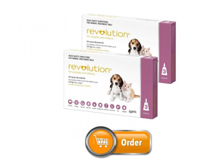 Revolution for Dog - BestVetCare Blog – Everything You Need to Know ...