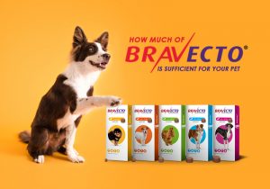 Bravecto Dose Guidance For Dogs Based On Size And Weight
