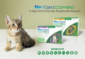 Nexgard Combo - A New All-In-One Cat Parasiticide Solution | BestVetCare