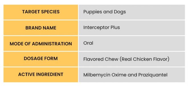 Interceptor Plus for Dogs: Effective Worm Protection