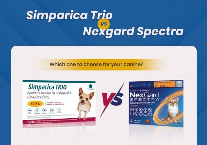 Simparica Trio vs. Nexgard Spectra – Which One to Choose For Your Canine?
