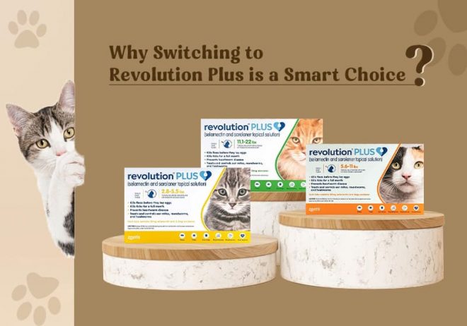 Why Switching to Revolution Plus is a Smart Choice?
