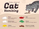 Vomiting in Cats – Causes & Treatment