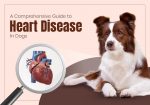 A Comprehensive Guide to Heart Disease in Dogs