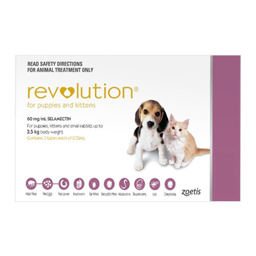 Revolution for Dogs : Buy Revolution Heartworm Preventive for Dogs ...
