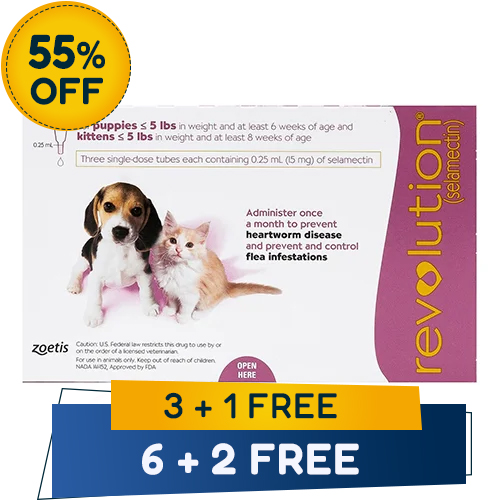 Buy Revolution Heartworm Preventive For Dogs | Free Shipping | BestVetCare